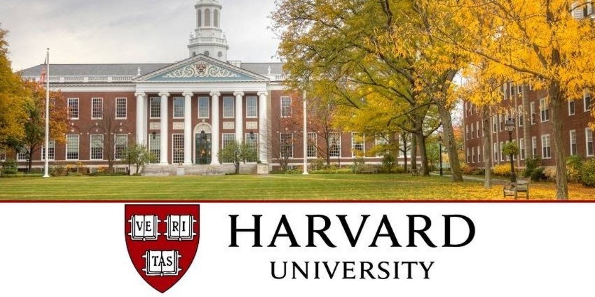 6 Cours Passionnants et Gratuits d'Harvard sur Internet