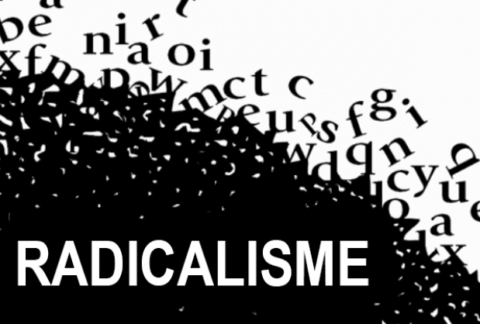 Introduction à la Radicalisation